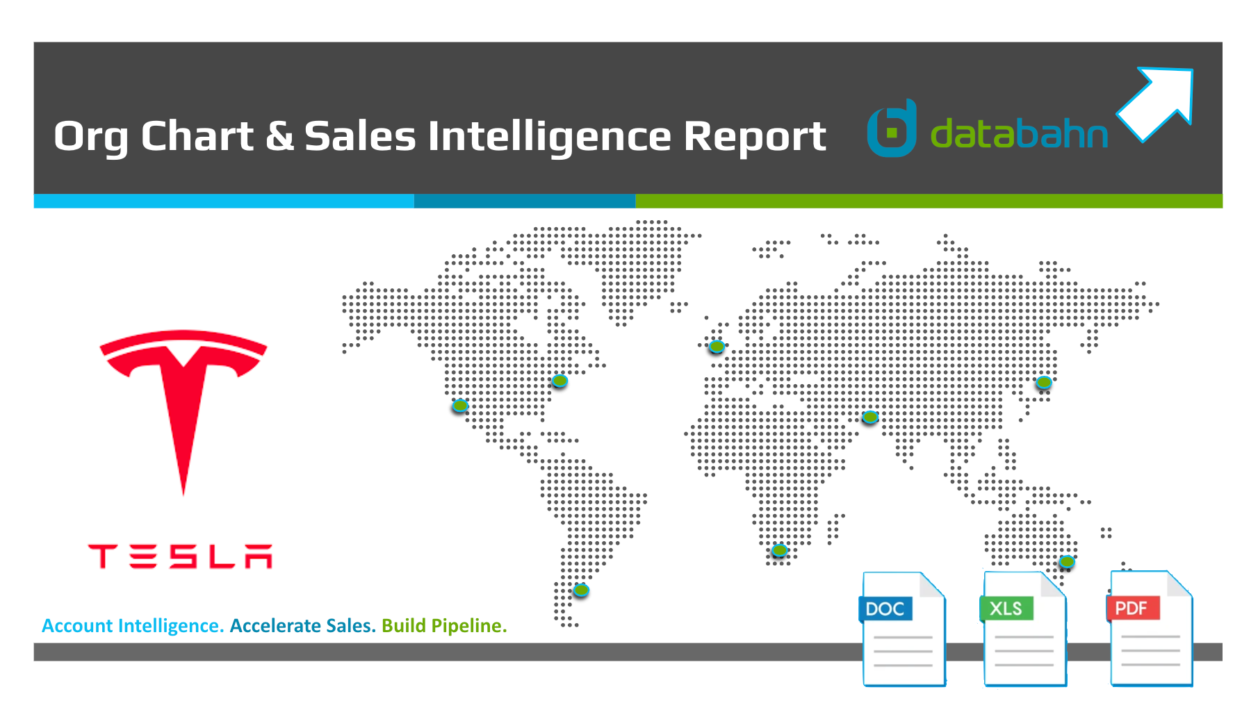Tesla Org Chart & Sales Intelligence Report in 2024 – databahn